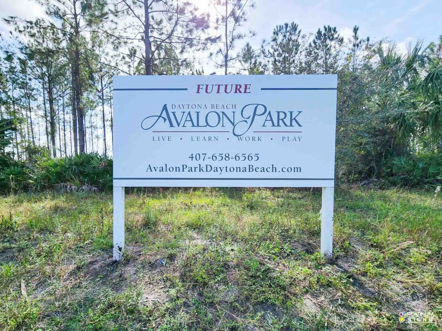 Custom Exterior Signs in Central Florida | Platinum Signs